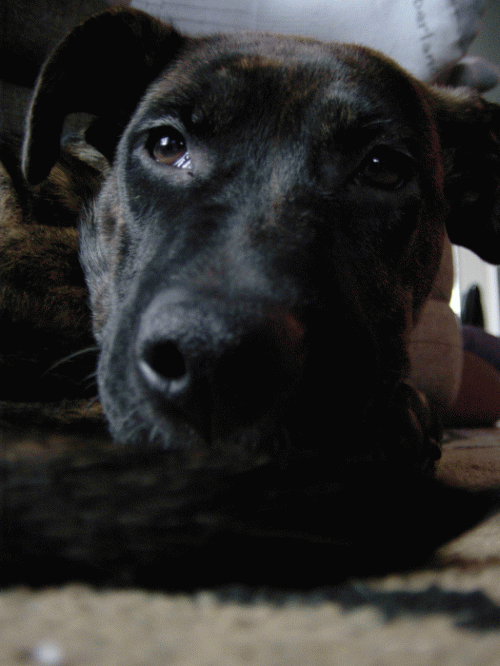 Both Hands: March 2007 Archives